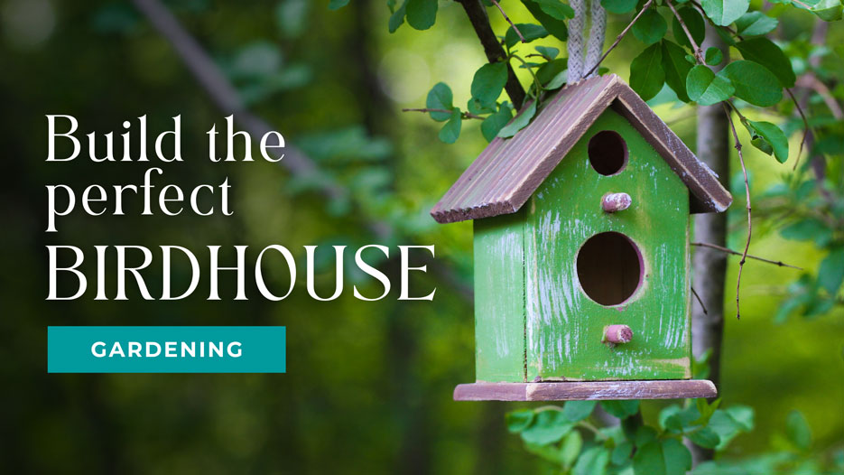 Build the perfect birdhouse - Gulf Coast Woman Magazine